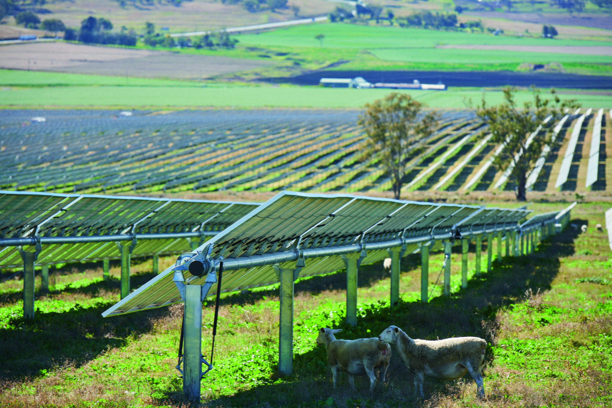 Farming the sun and land: The power of agrivoltaics - Ecogeneration