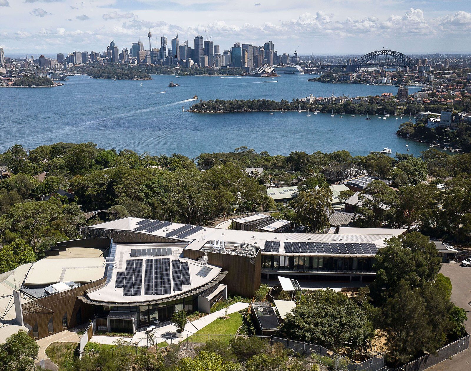 Taronga Zoo Baby Boom Hits Taronga Zoo | Taronga Conservation Society
