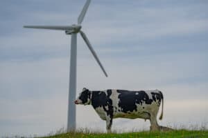 First-gen wind farm enters decommissioning phase - Ecogeneration