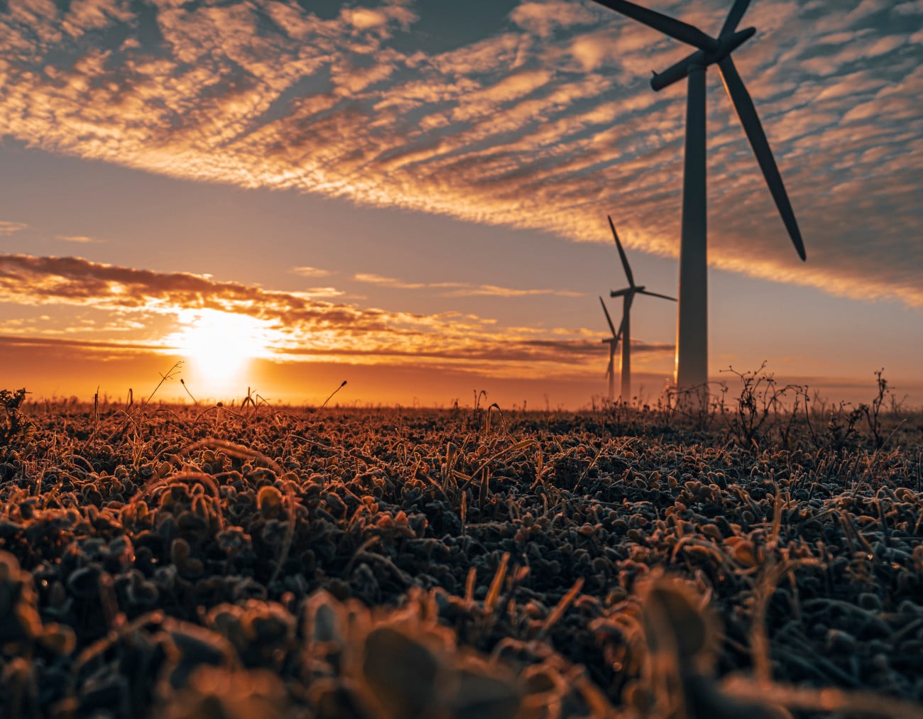 New climate data to enhance energy modelling - Ecogeneration