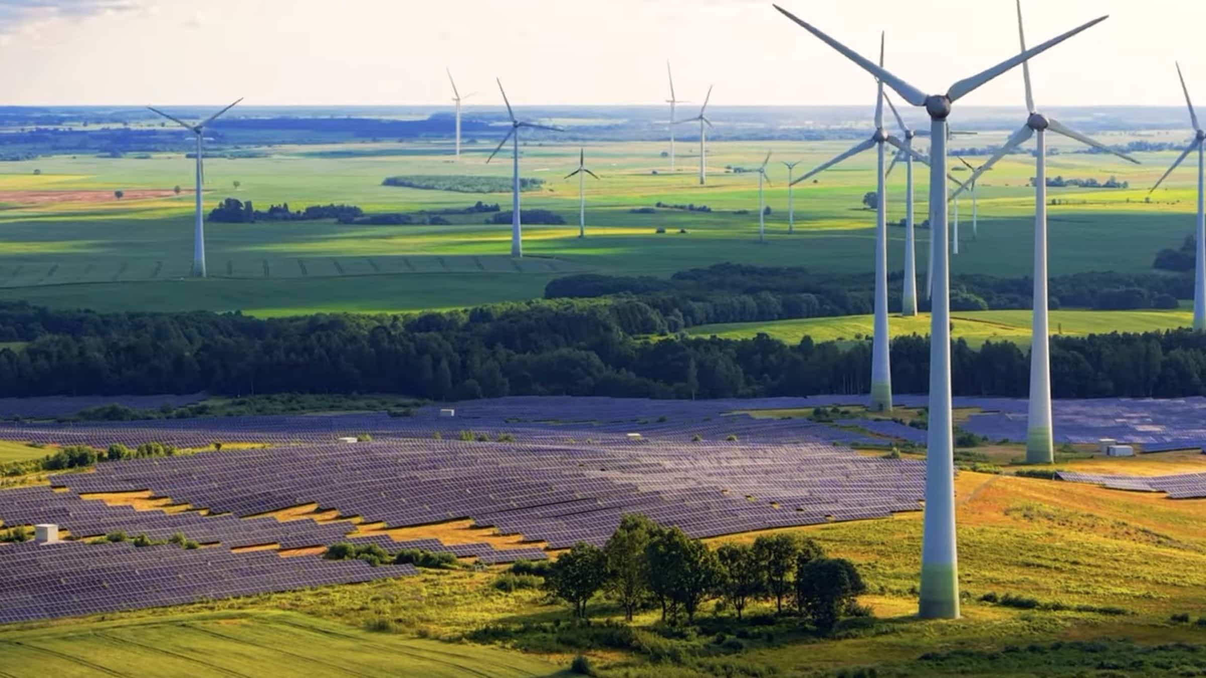 New phase for nation’s biggest renewable energy project - Ecogeneration